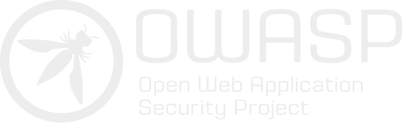 OWASP Website Penetration Testing Services
